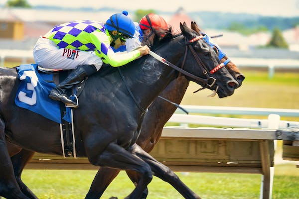 Codere Apuestas Deportivas | %sitename%| Cuotas y Apuestas 2024